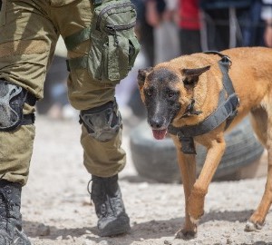 Caliber 3 - The Premier Israeli Academy for Counter Terror, Defense ...